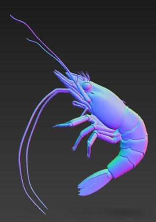 🦐 3D model of shrimp and lobster・ STL File for 3D printing・Cults