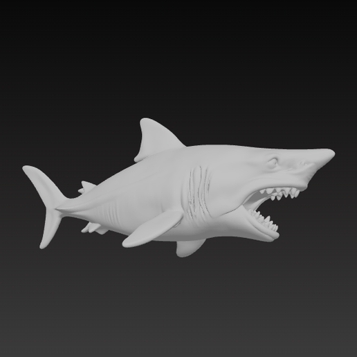 STL file Aggressive Shark STL – Ferocious & Lifelike 3D Model for ...