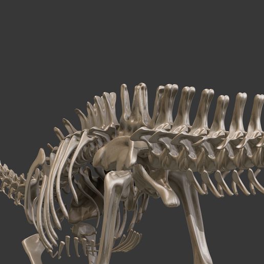 💀 Diplodocus: Complete skeleton・ 3D File for 3D printing・Cults