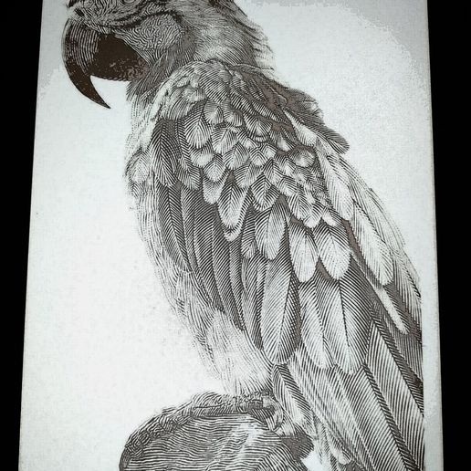 🦜 CNC LASER ENGRAVING PARROT DECORATIVE BOARD DESIGN・ 3D File for 3D ...