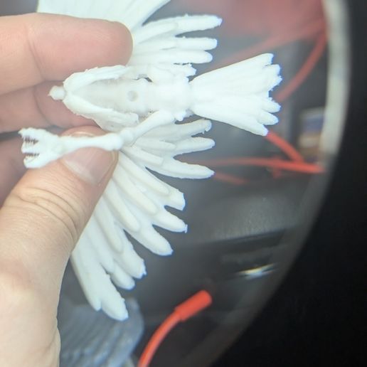 🦴 Bone Roc (DND / TTRPG)・Free STL File for 3D printing・Cults