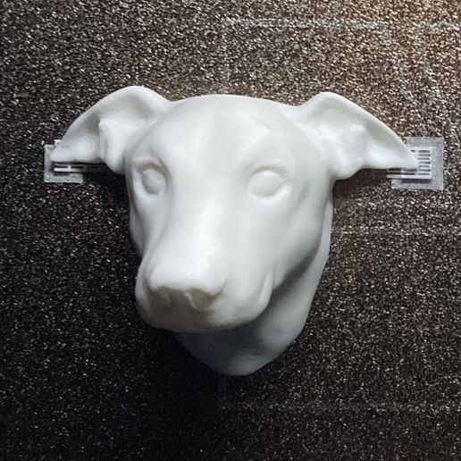 Free STL file Sculpted Dog Head Magnet Style 1 🐕 (3MF)・3D printable ...