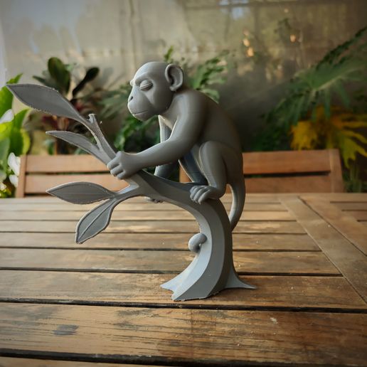 free monkey pictures to print