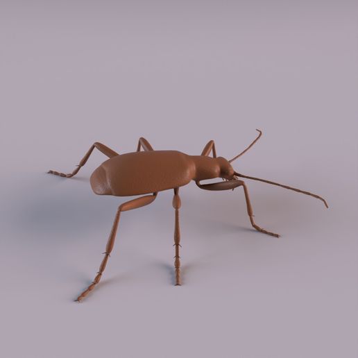🪲 Bombardier beetle・ STL File for 3D printing・Cults