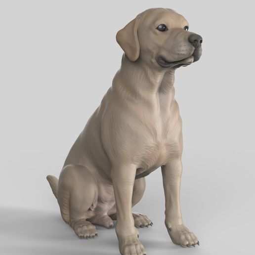 🐉 Labrador retriever・ STL File for 3D printing・Cults