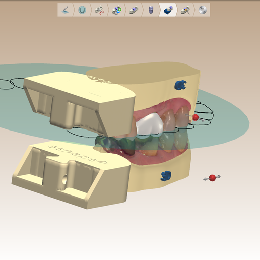 🩻 Digital Quadrant Model with 3Shape Articulator Interfaces・ STL File ...