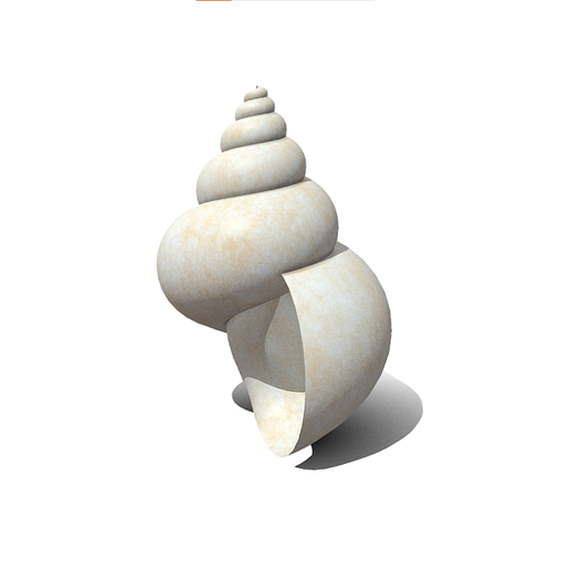 🐚 shell・ STL File for 3D printing・Cults
