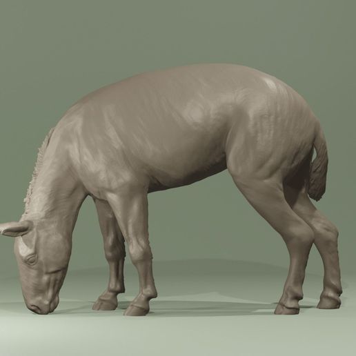 🐎 Prehistoric horse Hyracotherium Eohippus prehistoric horse equine ...