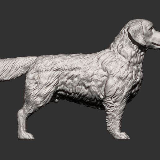 🐕 Golden retriever 3D print model・ 3D File for ・Cults