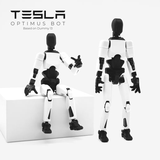 🤖 Tesla Optimus Bot 1.0 based on Dummy 13・Free STL File for 3D printing ...