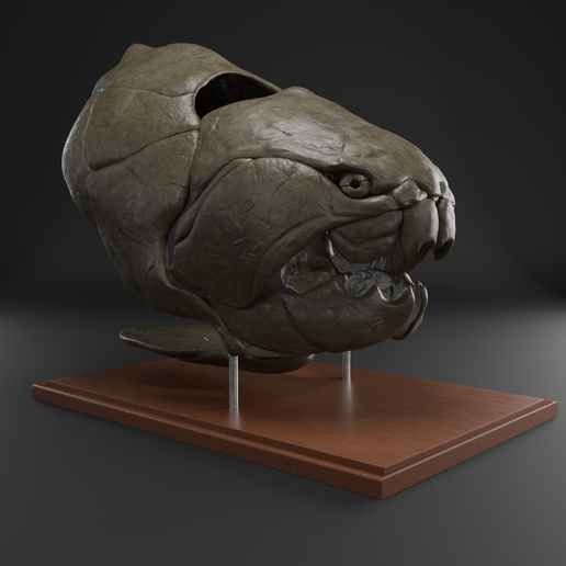💀 Dunkleosteus skull 3D print model・ STL File for 3D printing・Cults
