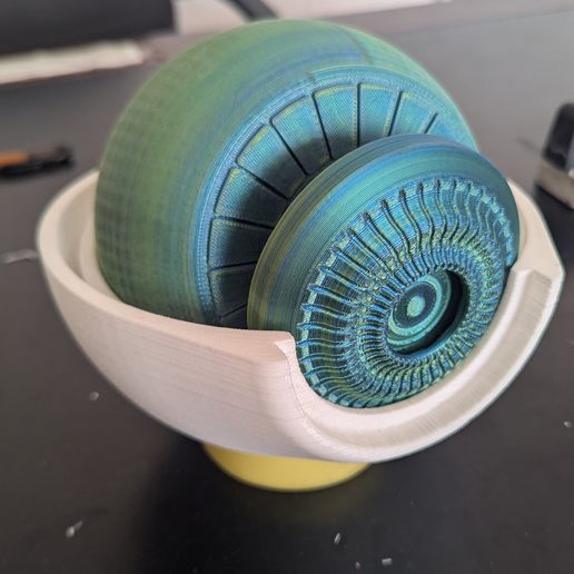 👁️ 3d model-replica of a human eye anatomy・3D Print with the Ender 3 v3 ...