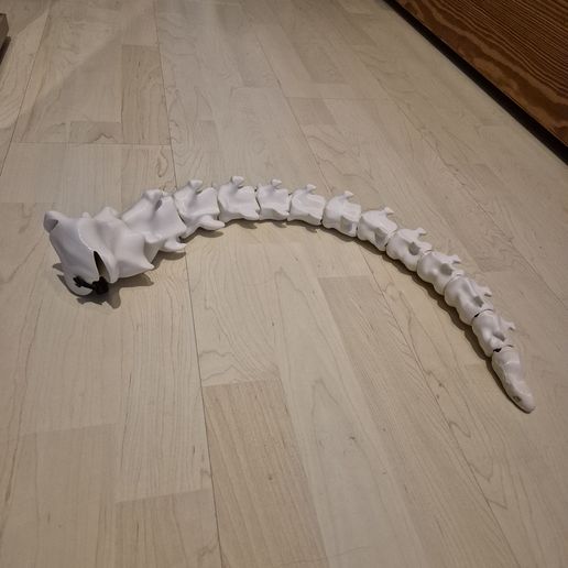 💀 Fursuit base: skeleton tail・3D Print with the Prusa Mk3S+ MMU3 3D ...