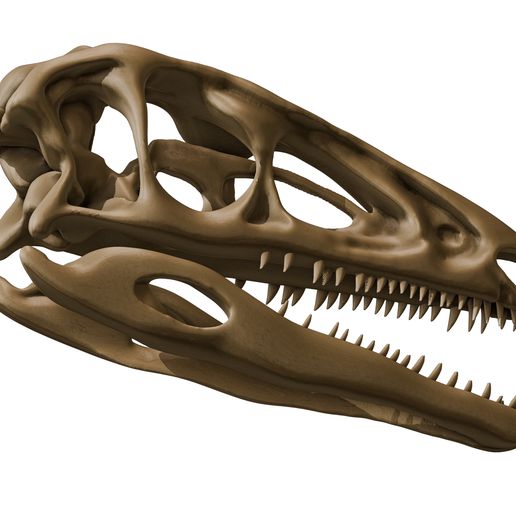🦖 Coelophysis : Complete anatomy・ OBJ File for 3D printing・Cults