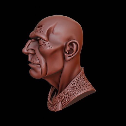 3D file Thoth Bust 👤 ・3D printable model to download・Cults