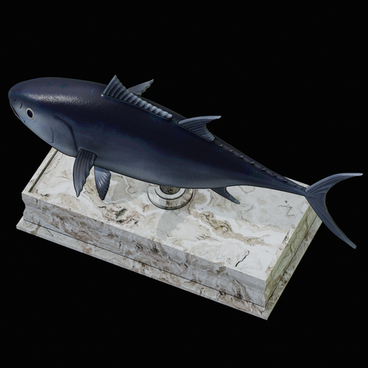 🐠 fish tuna bluefin / Thunnus thynnus with storage space / for 3d ...