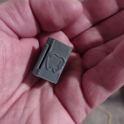 🦷 Print in Place Tooth Fairy Case・ STL File for 3D printing・Cults