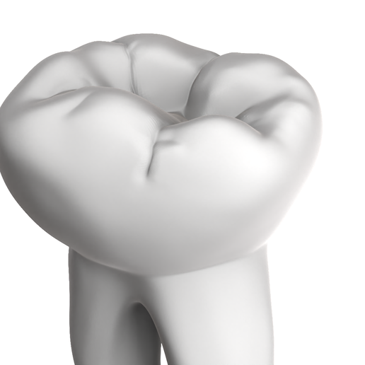 STL file Tooth 🦷 ・Template to download and 3D print・Cults