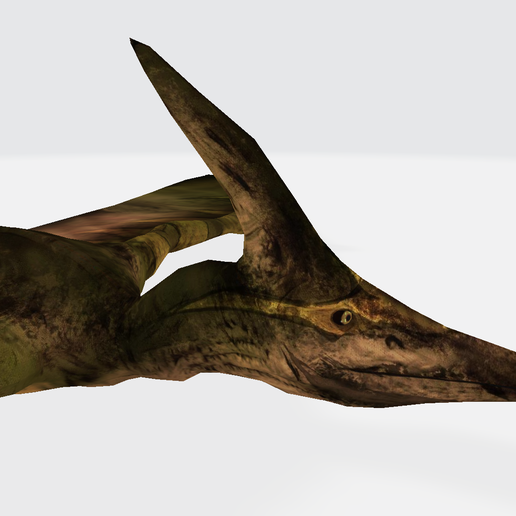 3D file pterodon 🦖 ・Model to download and 3D print・Cults