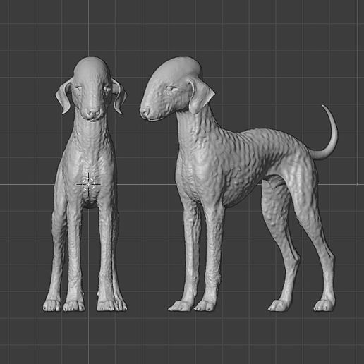 🐕 Bedlington Terrier dog - stl file・Free STL File for 3D printing・Cults