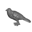 STL file Crow 🐦 ・3D printer model to download・Cults