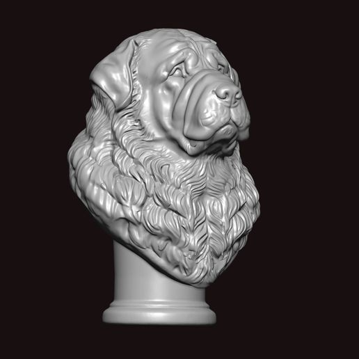 👤 tibetan mastiff face bust statue・ STL File for 3D printing・Cults