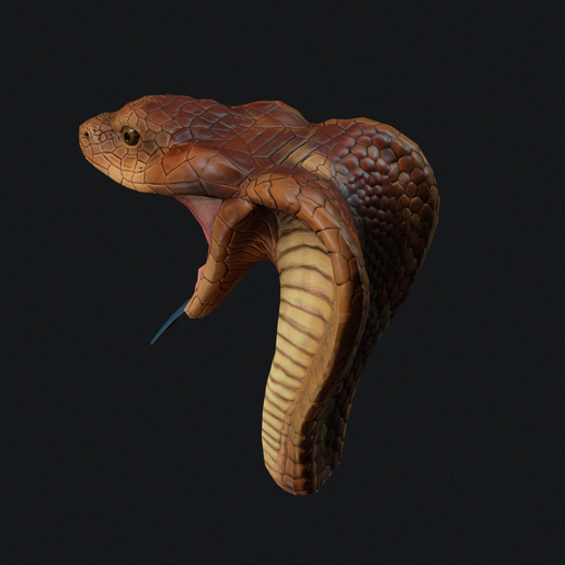 🐍 Snake head・ STL File for 3D printing・Cults