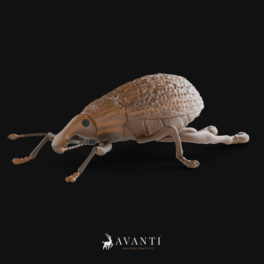 🧸 WEEVIL・ STL File for 3D printing・Cults
