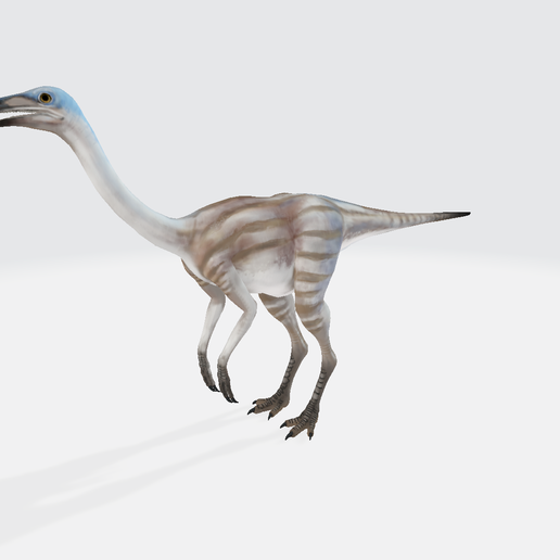 3D file Struthiomimus 🦖 ・Design to download and 3D print・Cults