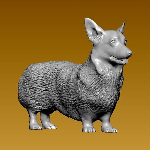 STL file Corgi Dog - terrier model - 3D print 🐕 ・Template to download ...