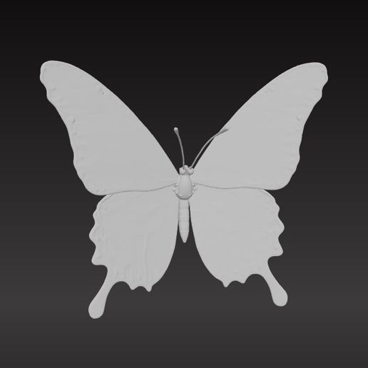 🦋 butterfly・ STL File for 3D printing・Cults