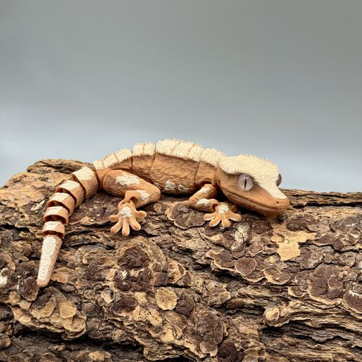 👁️ Articulated Crested Gecko | Pre-Painted + Optional 8mm Glass Eye ...