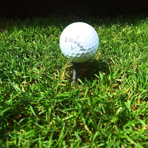 🏌️ AC Golf Tee Collection・Free STL File for 3D printing・Cults