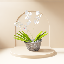 Orchid best STL files for 3D printing・305 free models to download・Cults