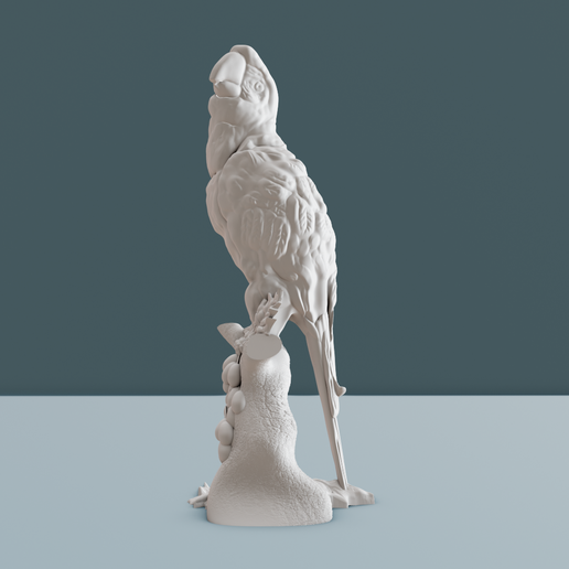 STL file Macaw sculpture STL 🗿 ・Model to download and 3D print・Cults