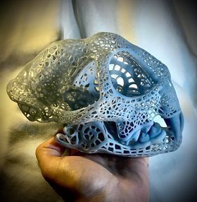 🫀 Filigree Anatomical Bobcat Skull・ 3D File for ・Cults
