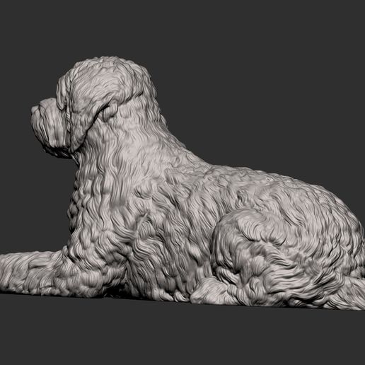 🐕 Goldendoodle lies 3D printed model・ STL File for 3D printing・Cults