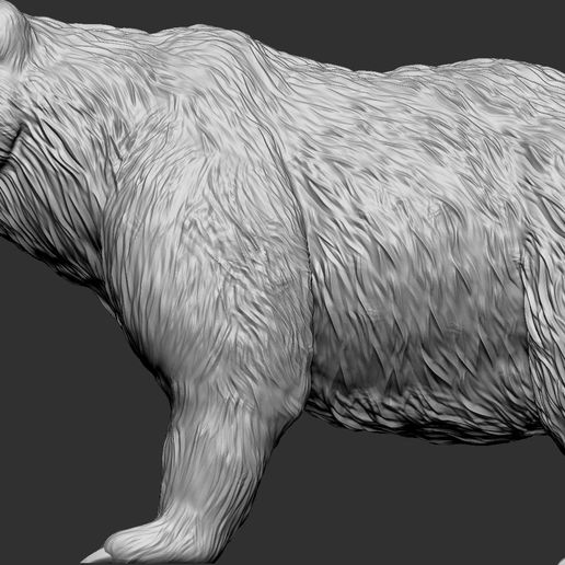 🐻 Bear 1# - STL - RPG MINIATURE・ OBJ File for 3D printing・Cults