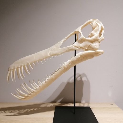💀 Pterosaur skull - Boreopterus・ STL File for 3D printing・Cults