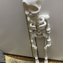 3D printable Flexi Factory/Flexis For A Cause: XXL Skeleton • made with ...