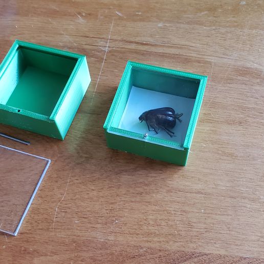 STL file Insect boxes 👽 ・3D printer model to download・Cults