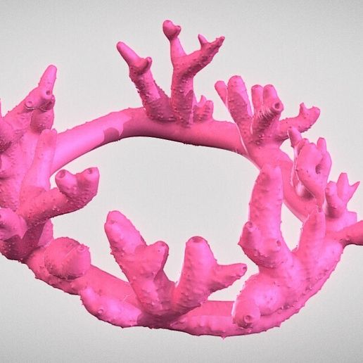 STL file Coral Crown 🪸 ・3D printable model to download・Cults