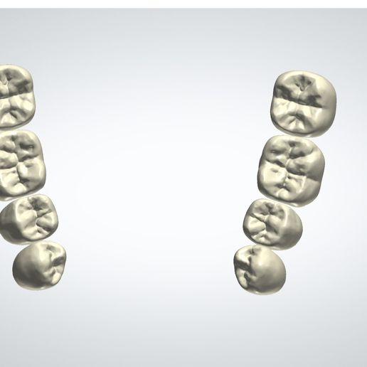 🦷 3Shape Library Molar_Natural_6・ STL File for 3D printing・Cults