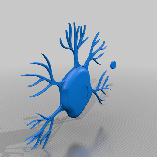 🧪 Neuron Anatomy Model・Free STL File for ・Cults