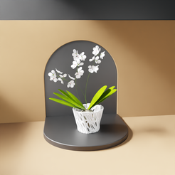 Orchid best STL files for 3D printing・310 free models to download・Cults