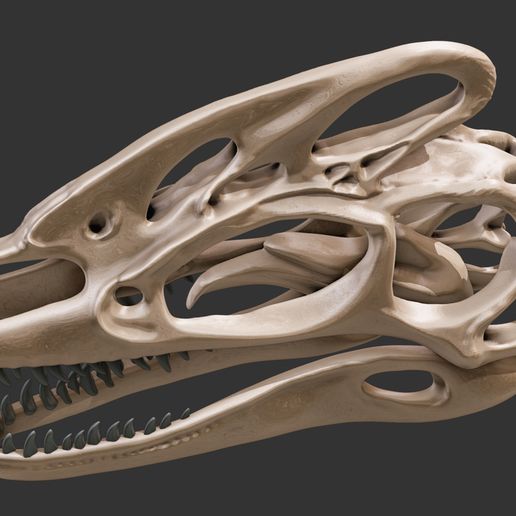 guanlong skull