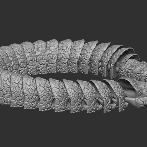🐍 # **FLEXI Articulated Snake 3D Print Model with movable segments ...