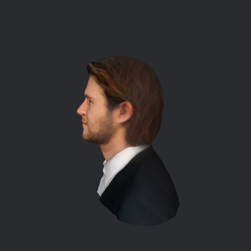 3D file Thor Chris Hemsworth Avengers-bust/head/face ready for 3d ...