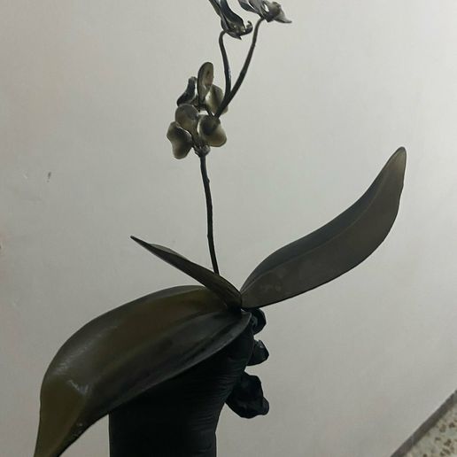 🌿 Orchid plant for decoration・Free STL File for 3D printing・Cults