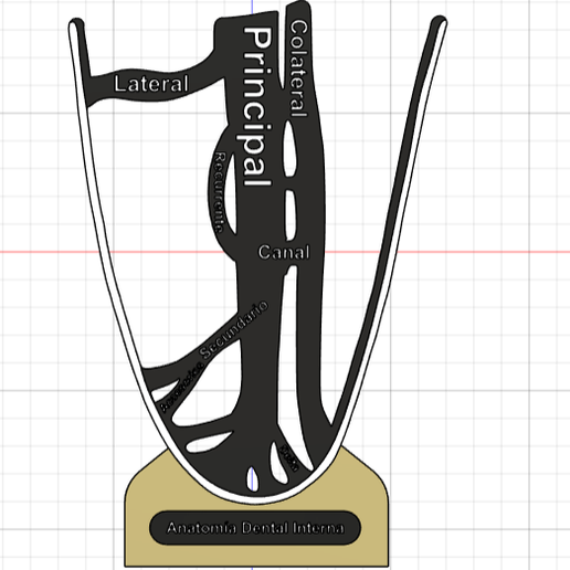 🖨️ Dental Canal Anatomy Model・ STL File for 3D printing・Cults